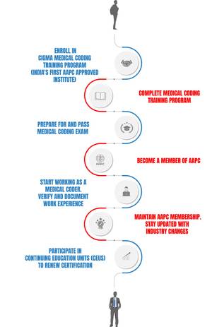 Cigma - Best Medical Coding and Billing Course in Kerala